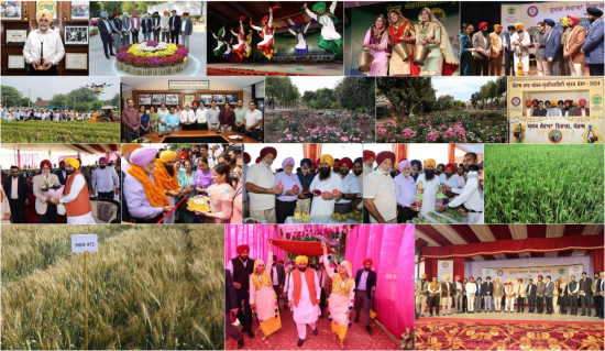 Punjab Agricultural University - PAU - Ludhiana, Punjab - INDIA - pau.edu